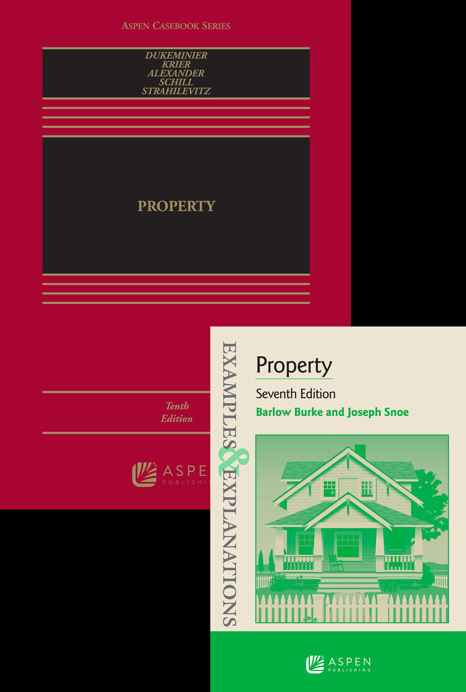 Bundle: Property, Tenth Edition and Examples & Explanations for Proper ...