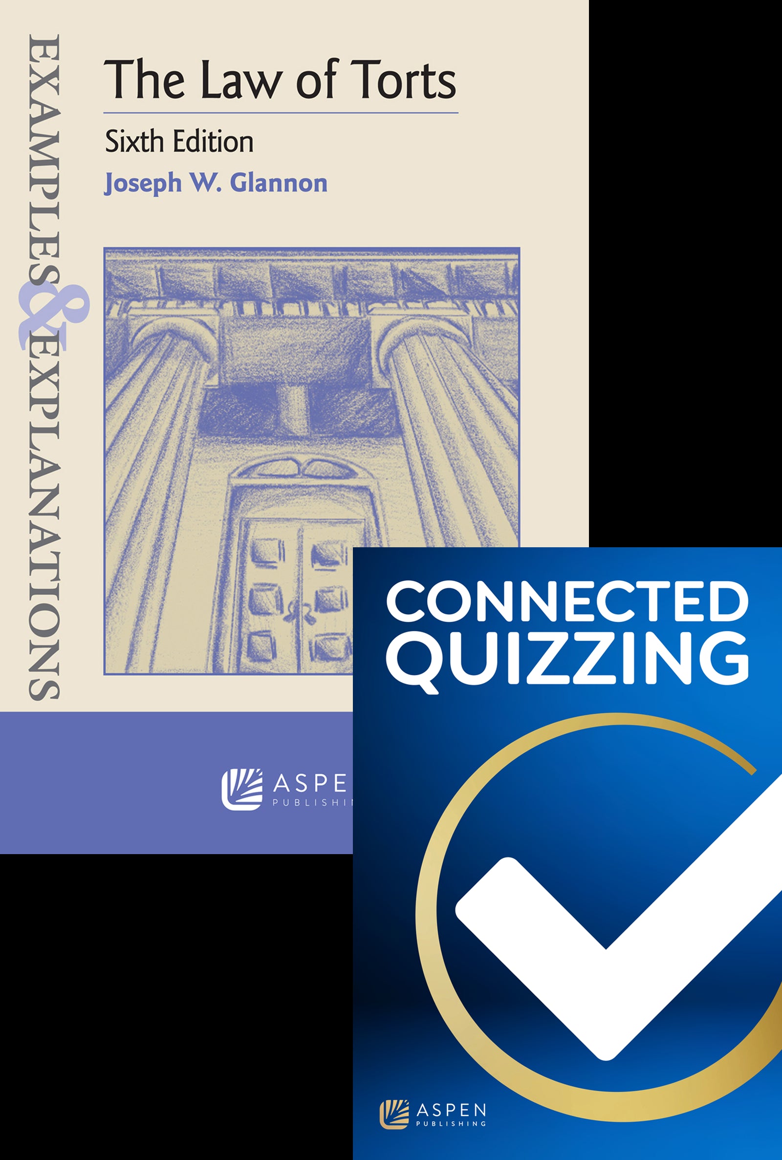 Bundle: Examples & Explanations for The Law of Torts, Sixth Edition wi ...